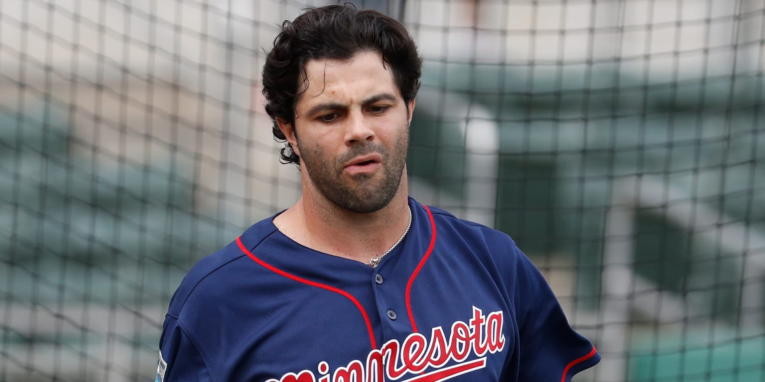 Ryan LaMarre optioned to Triple-A Rochester