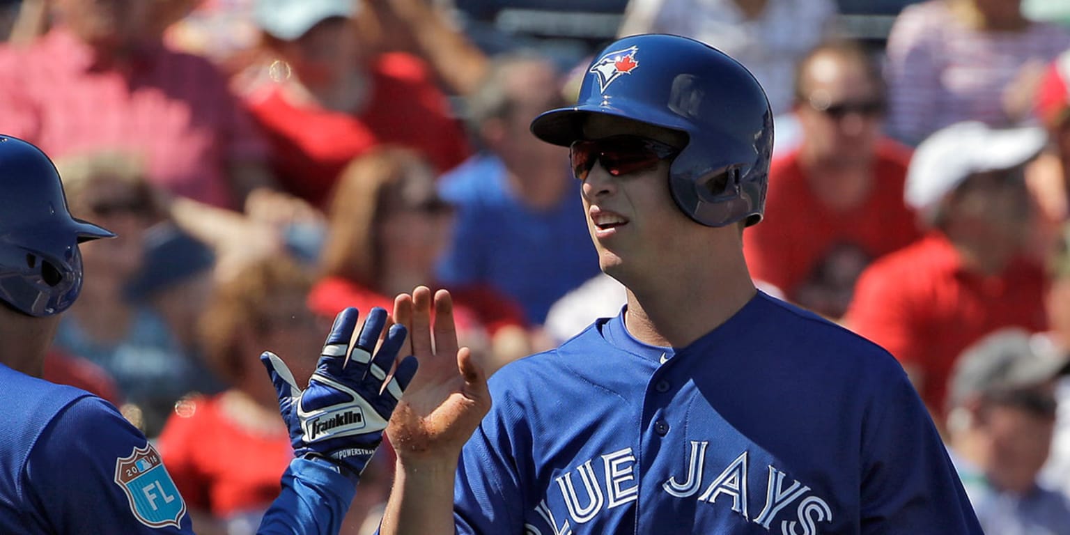 Blue Jays call up Matt Dominguez from Triple-A