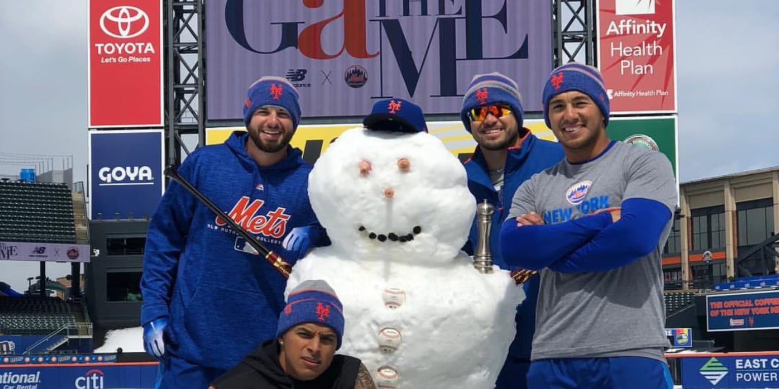 The Mets took advantage of the snow day by constructing 'Salty the ...