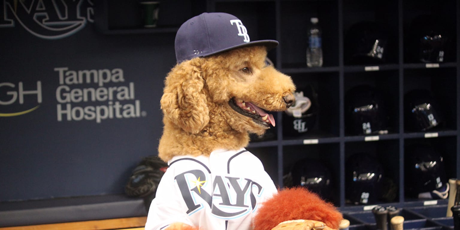 Super Dog Max visited the Rays on Wednesday and might be the team's new ...