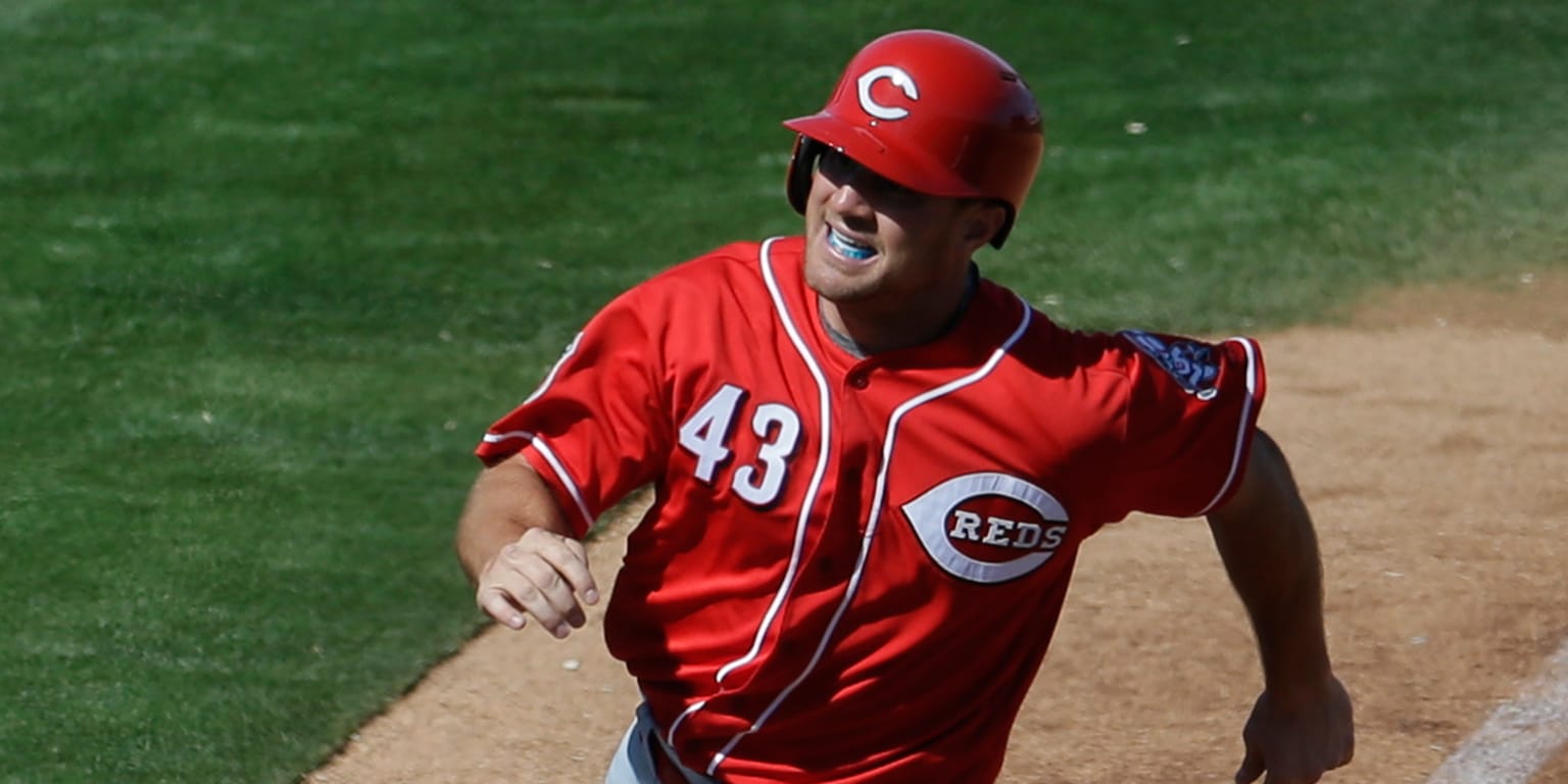 Scott Schebler double pushes Reds past Dodgers