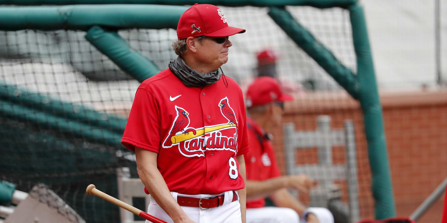 Cardinals hope DH addition reignites offense