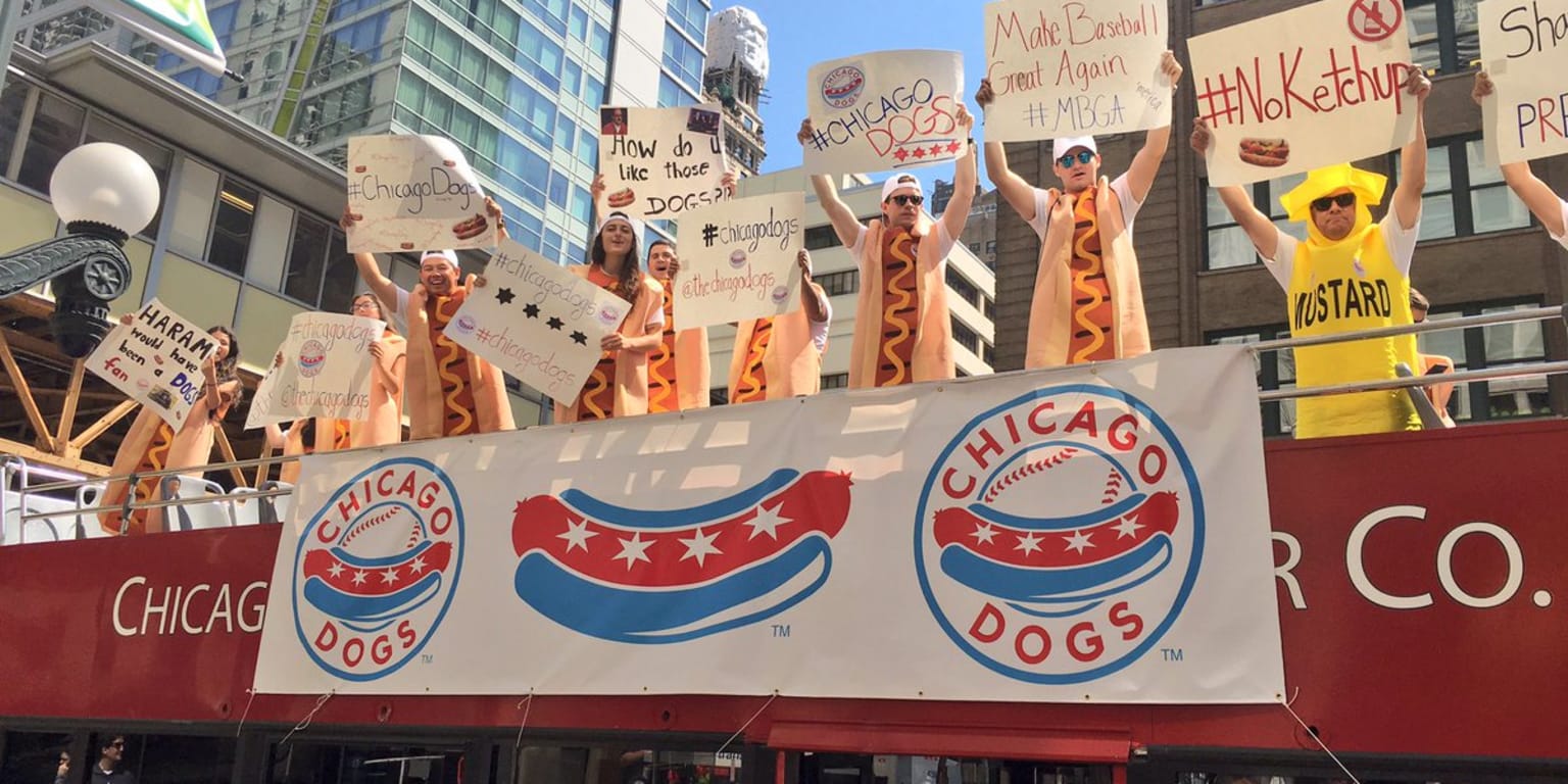 Chicago's newest baseball team, the Chicago Dogs, was unveiled Friday ...