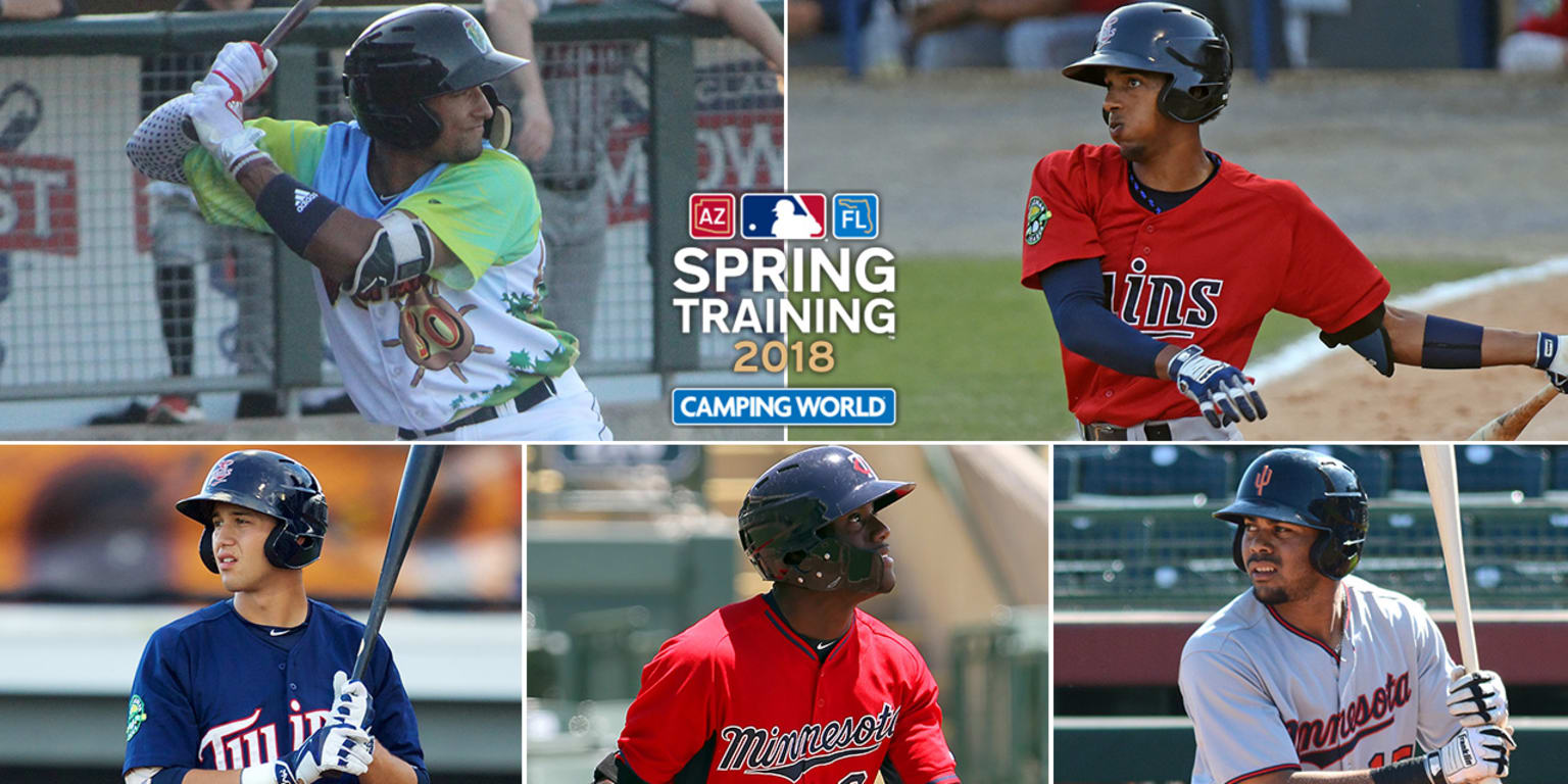Twins Spring Training prospect report
