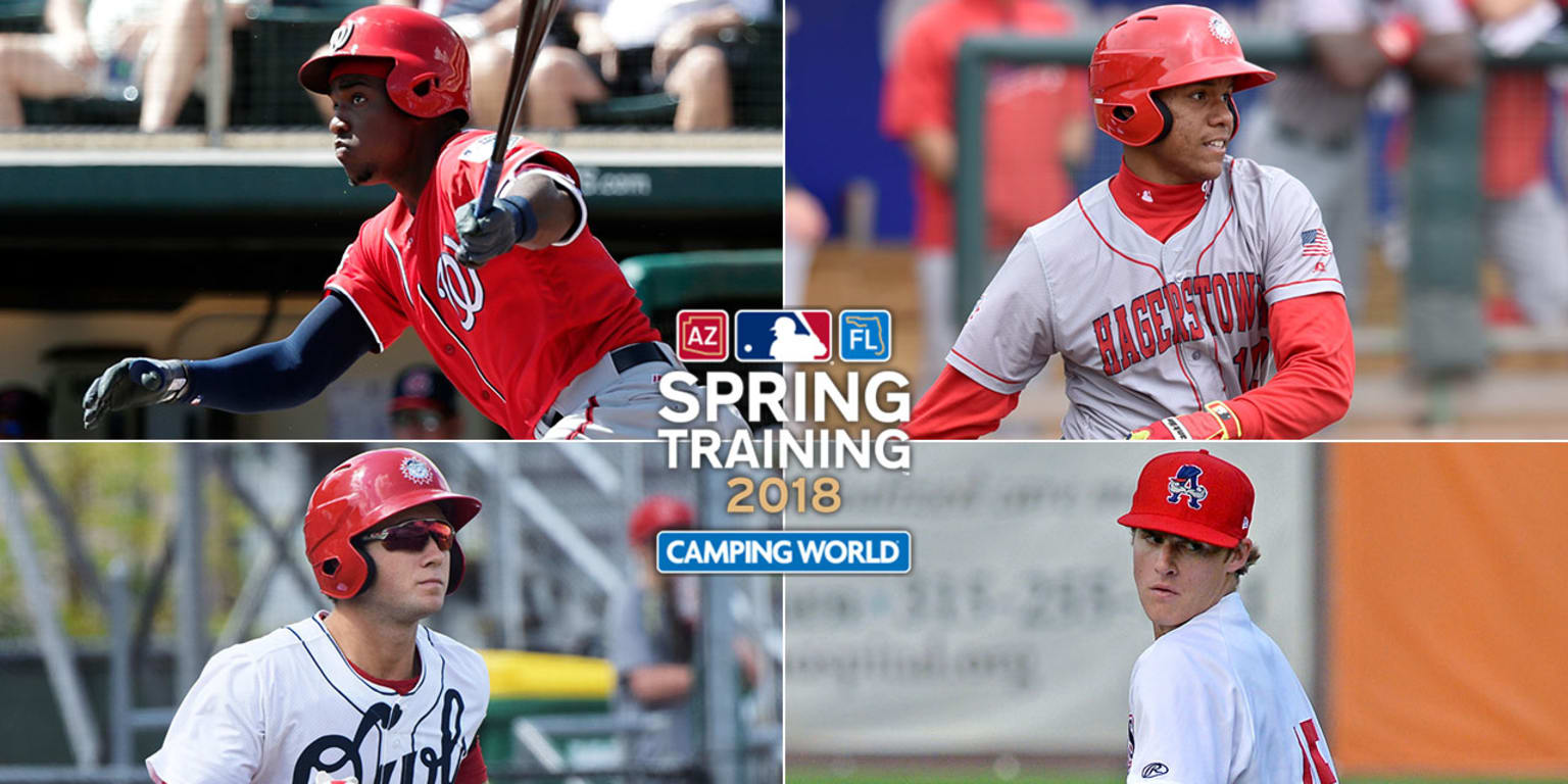 Nationals Pipeline Spring Training report
