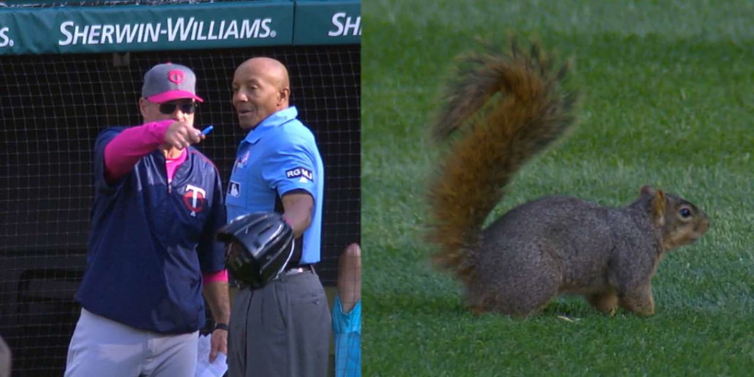 A lovable squirrel scampered around the field in Cleveland and avoided ...