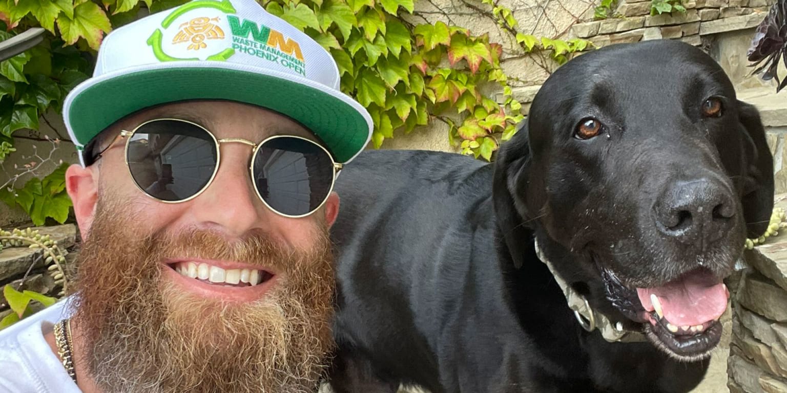 Angels' Archie Bradley finds missing dog