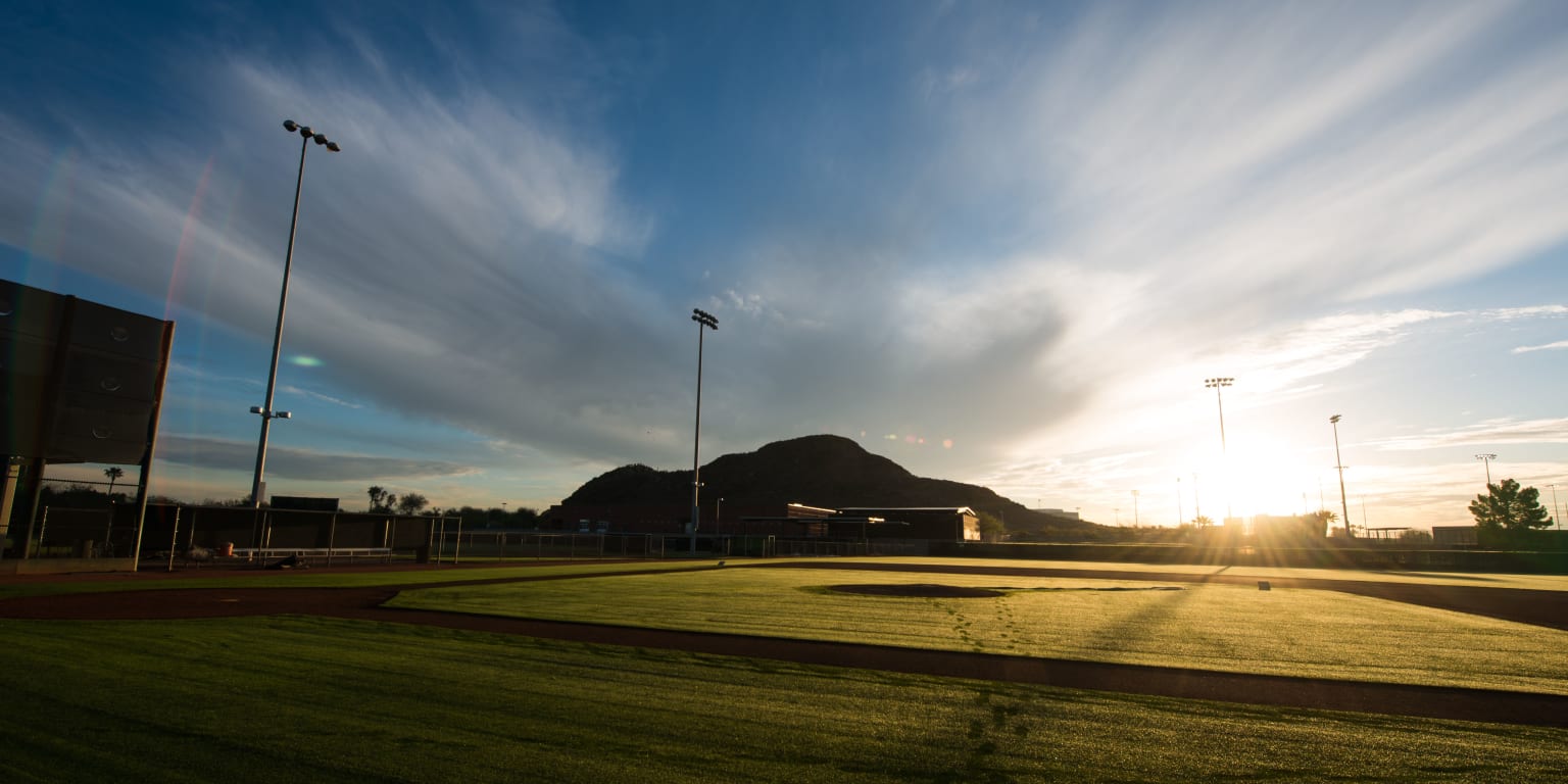 Get ready for baseball with these beautiful photos of all 24 Spring ...