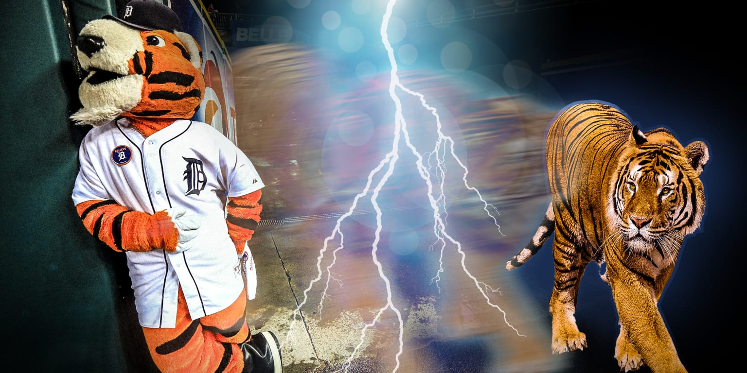 Sports teams need live mascots | MLB.com