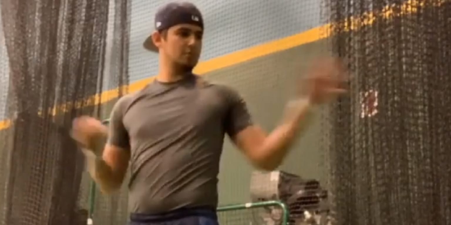 The Instagram feed of Brewers prospect Antonio Pinero is a highlight ...