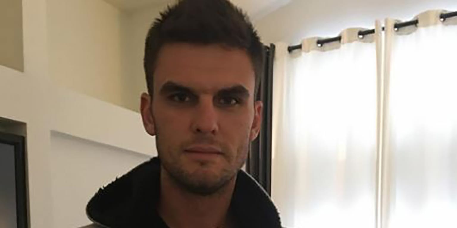 Greg Bird's hairless cat is the grandson of Mr. Bigglesworth from ...