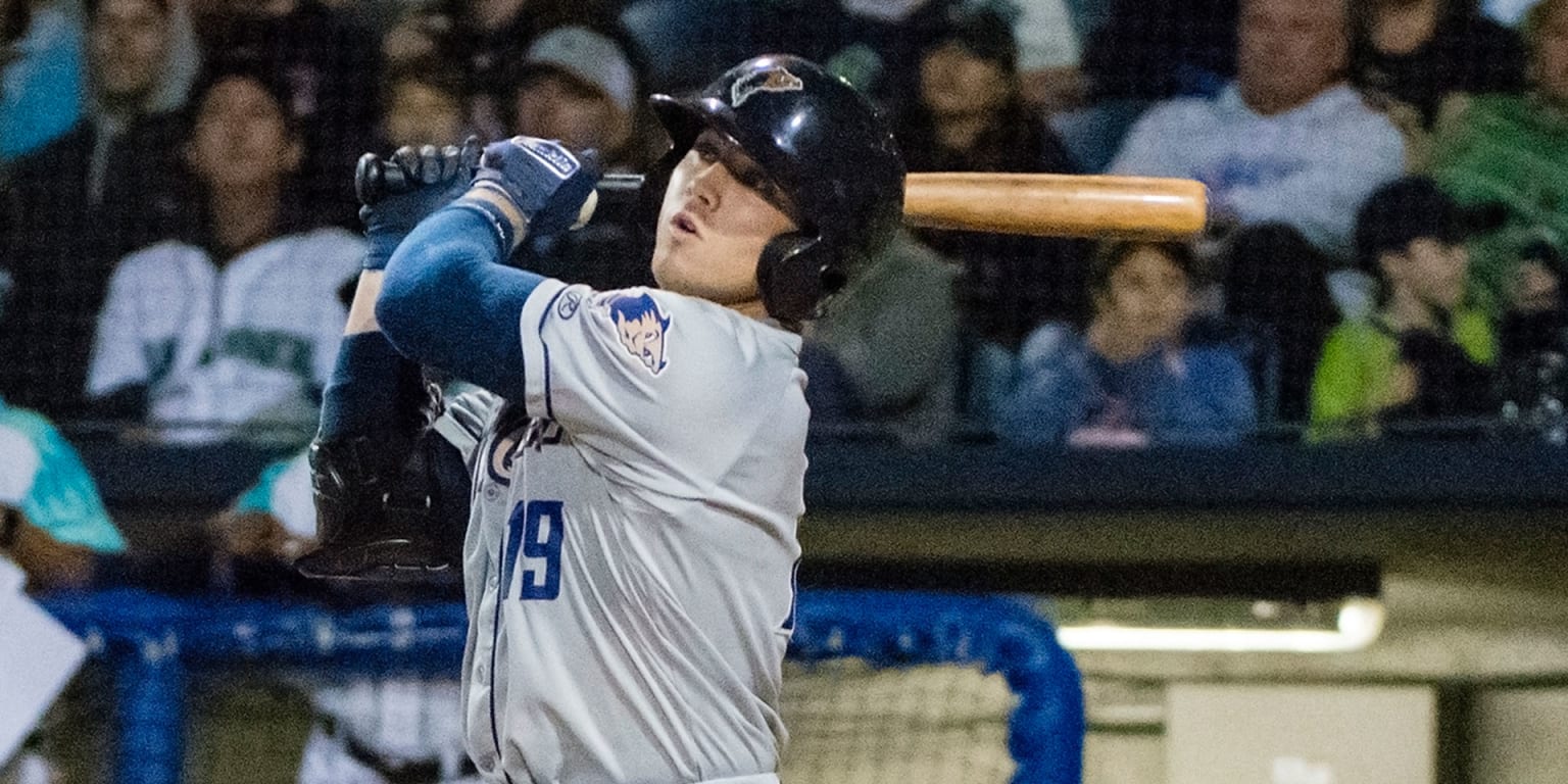 Logan Driscoll homers twice in AFL debut