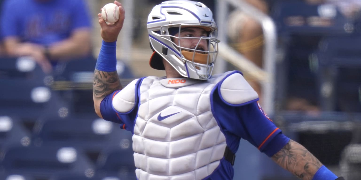 Tomás Nido ready to be Mets' backup catcher