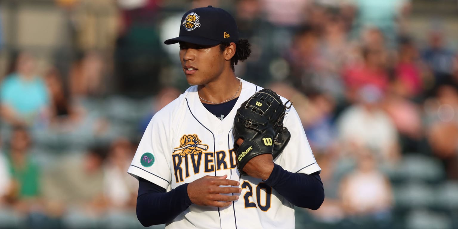 Rays 2021 Minor League report