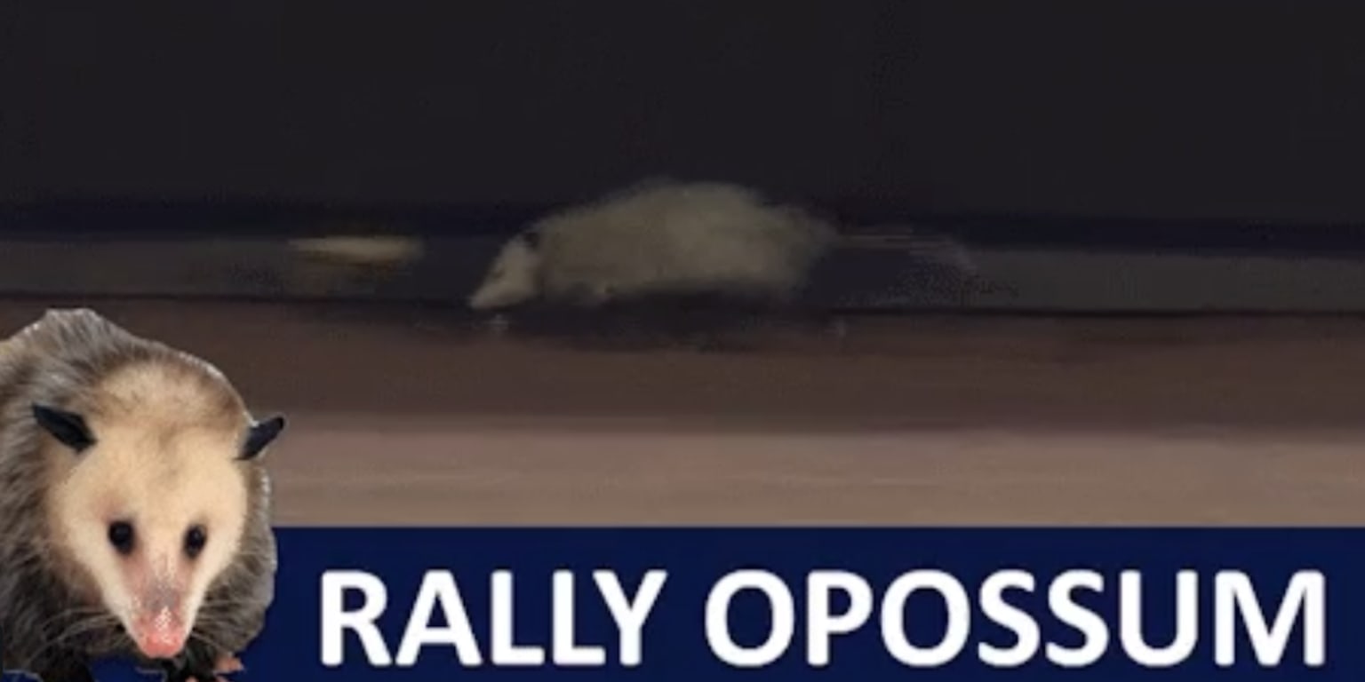 The Tigers may have the Rally Goose, but their Triple-A affiliate has ...