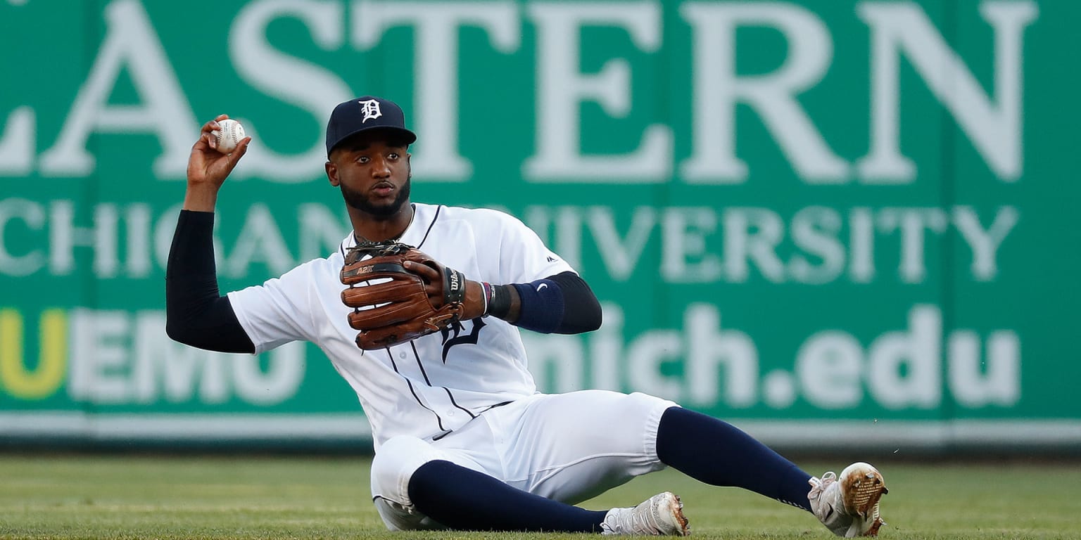 Niko Goodrum named Tenth Man Award winner