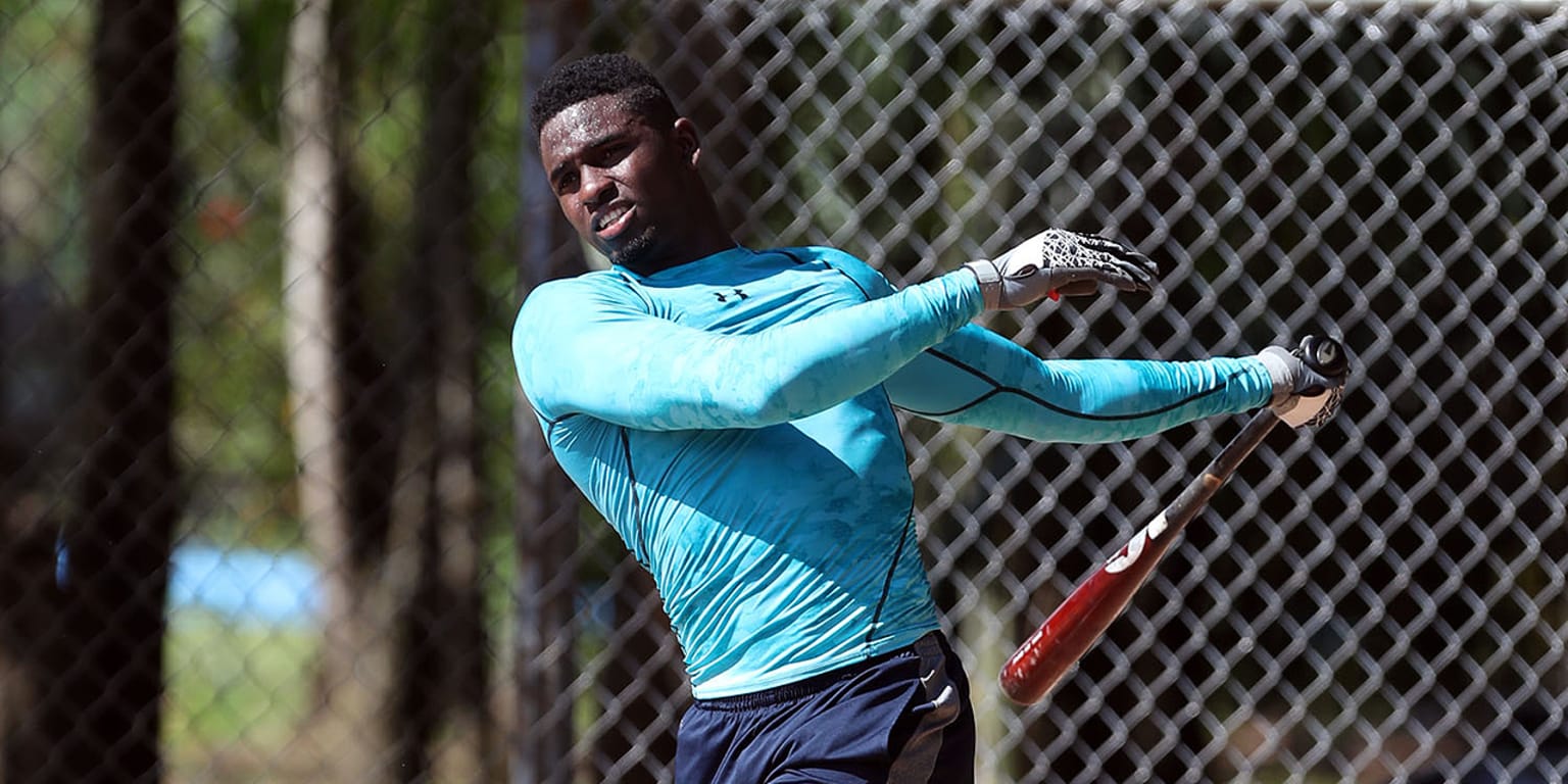 Phillies not expected to sign Luis Robert