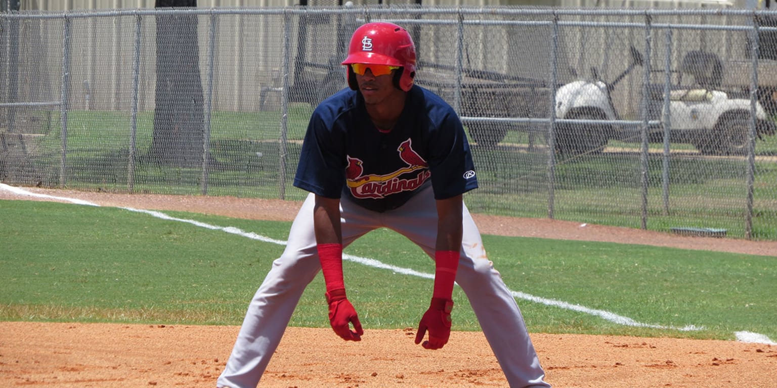 Cardinals' Delvin Perez looks to prove himself
