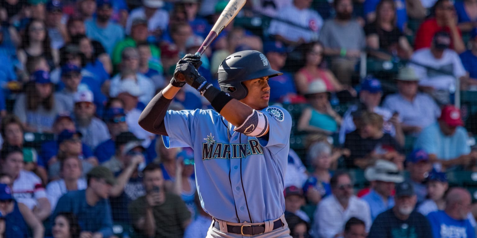 Prospect Julio Rodriguez hit on hand, day to day