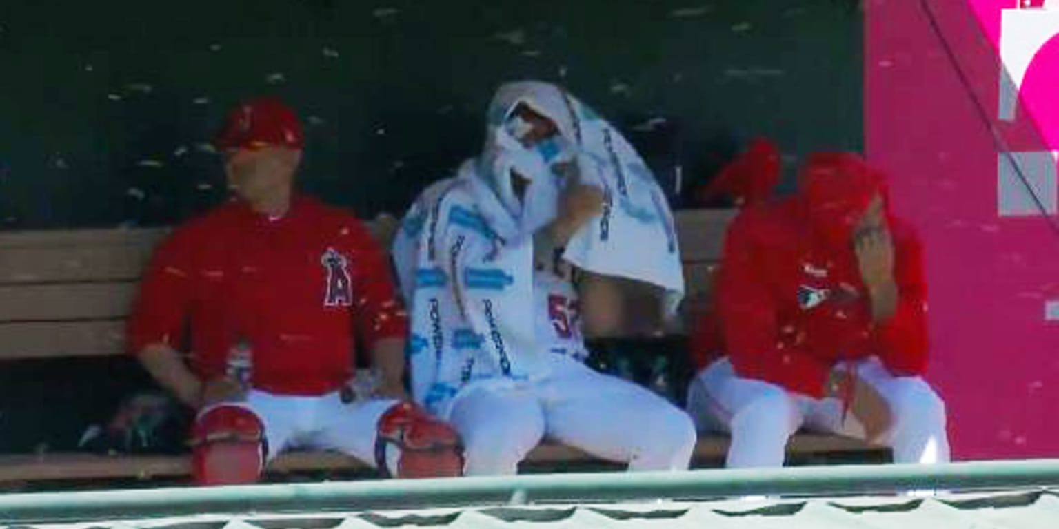 A swarm of bees caused a delay in Anaheim | MLB.com