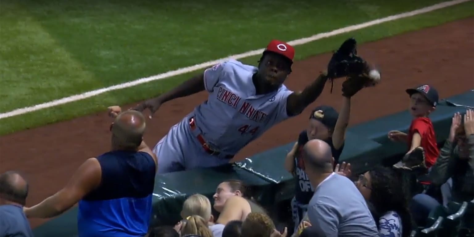 Young fan catches foul ball
