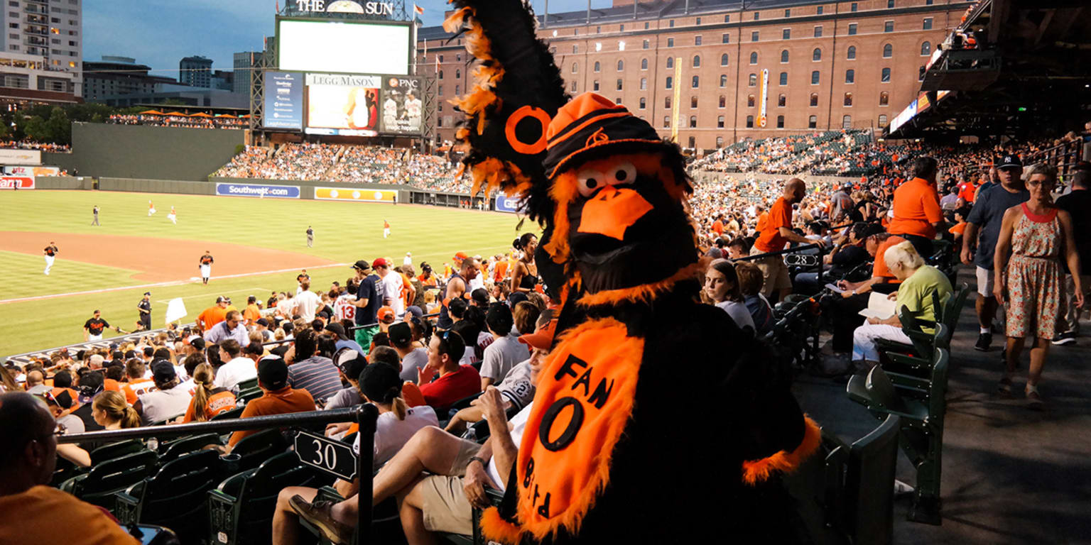 Get ready to root on the upcoming season with some of the craziest fan ...