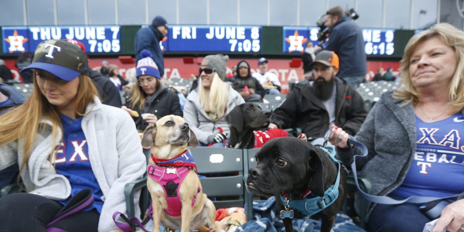 Many good dogs braved the cold at MLB's first Bark at the Park Night of ...