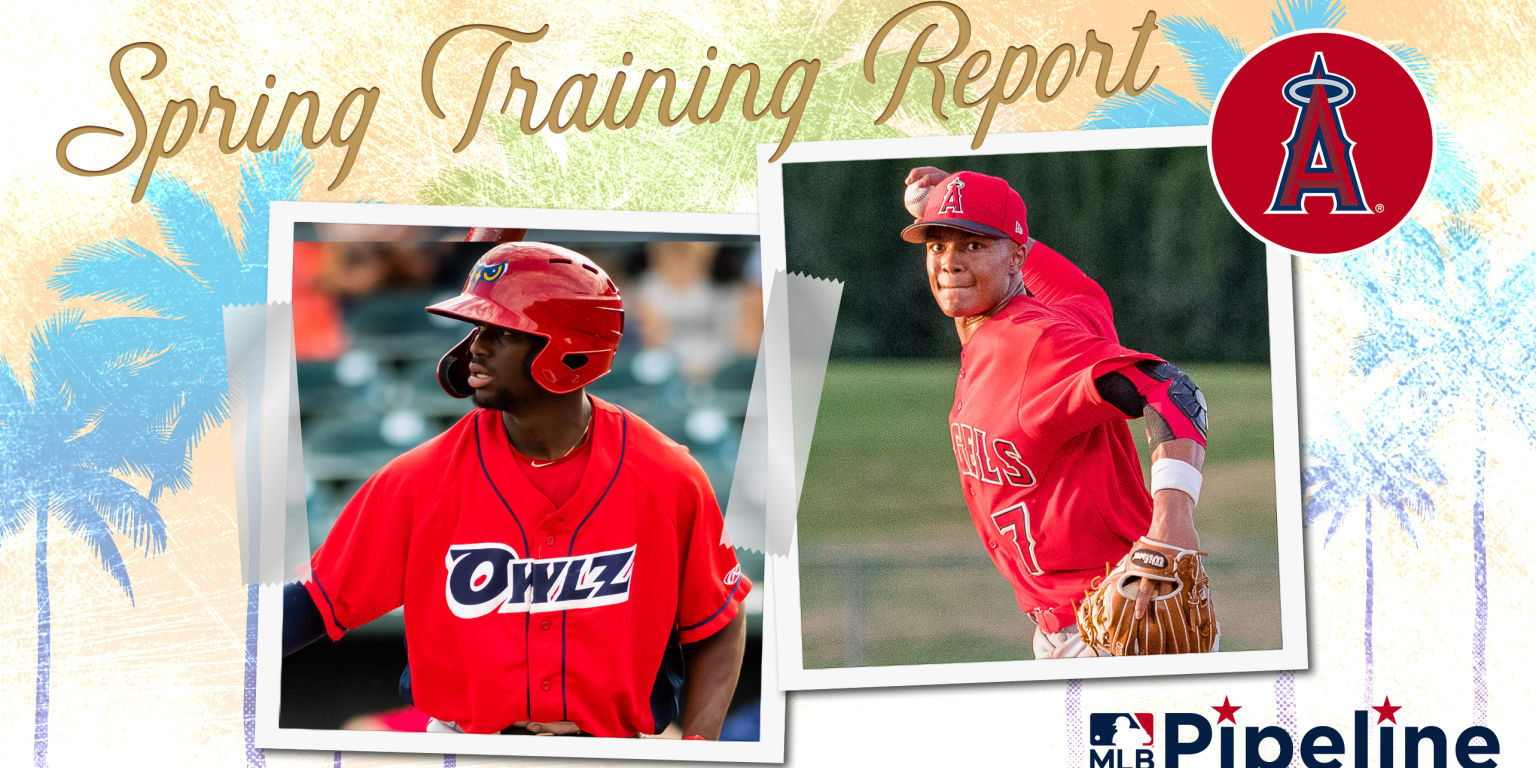 Angels Minor League Spring Training report