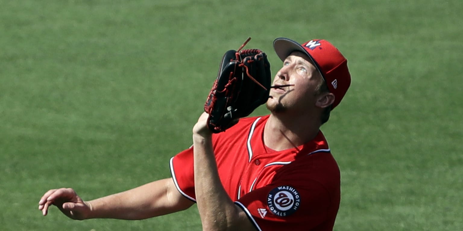 Health key to Erick Fedde's success in 2019