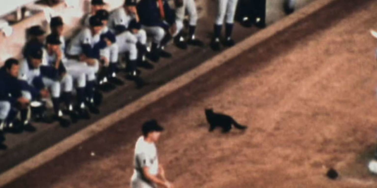 On Friday the 13th, let's revisit the Cubs' 'Black Cat Game' | MLB.com