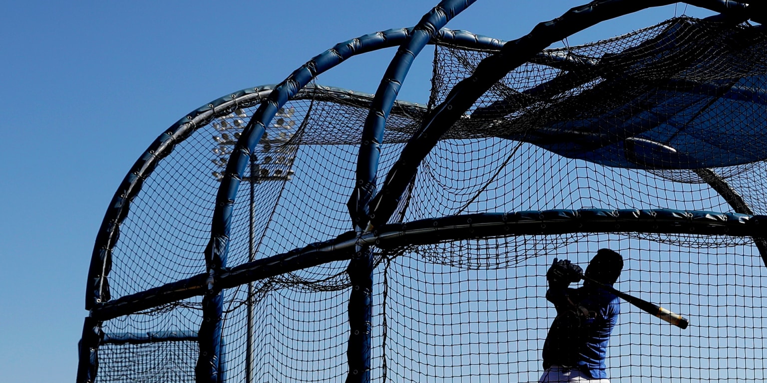 Sights and sounds from 2020 MLB Spring Training