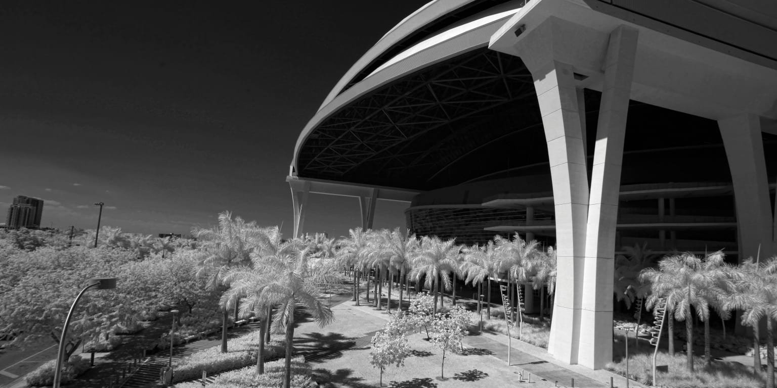 Tour the city of Miami during All-Star Week