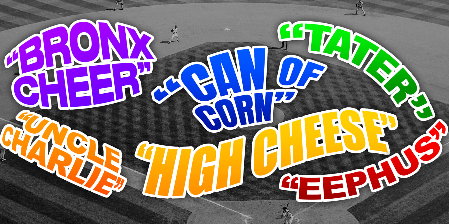 Best Baseball Slang Terms Best Baseball Slang Terms