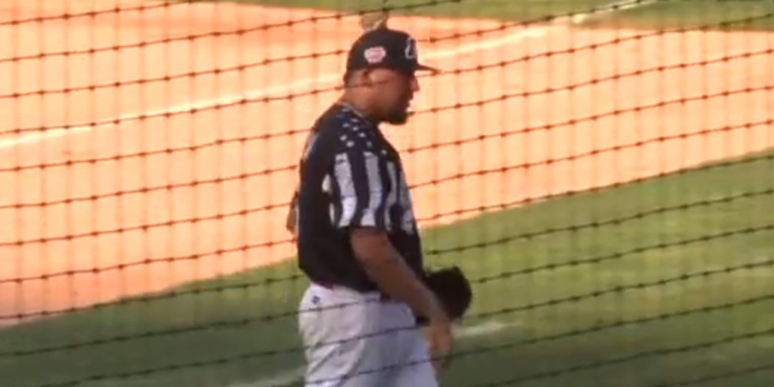 A bird flew at Minor League pitcher Jesus Cruz as he left the game, so ...