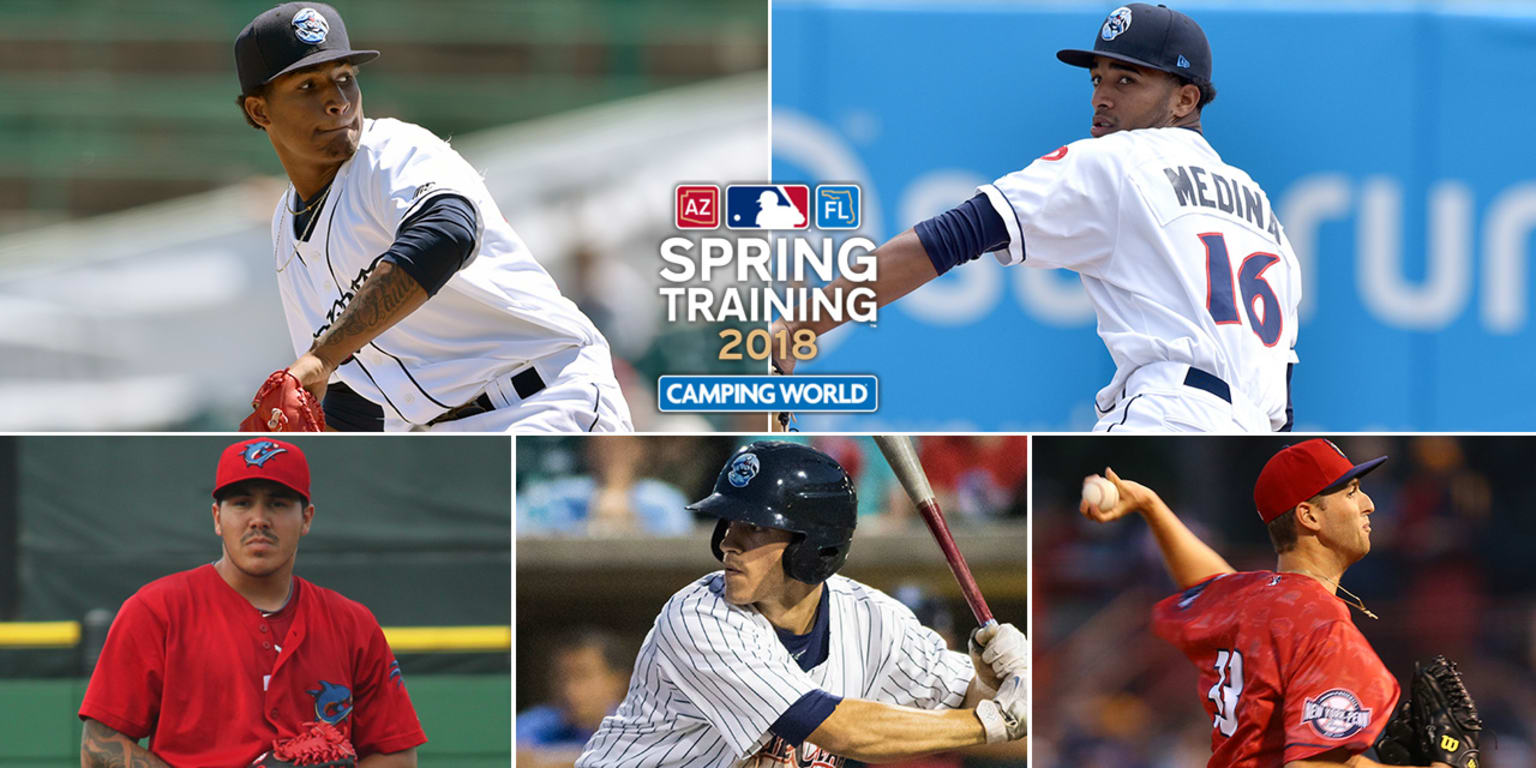 Phillies Pipeline Spring Training report