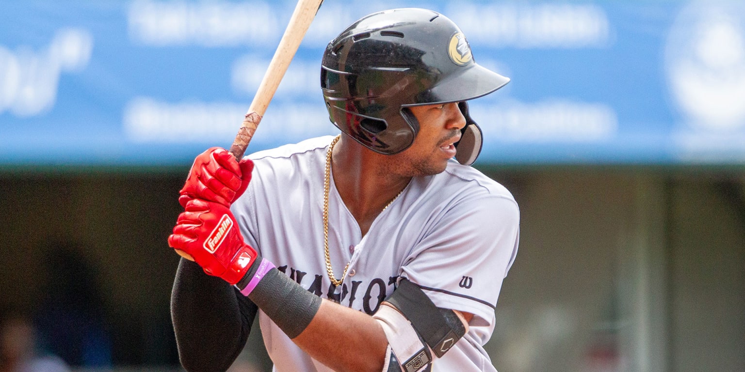 Eloy Jimenez focus of fans during spring camp