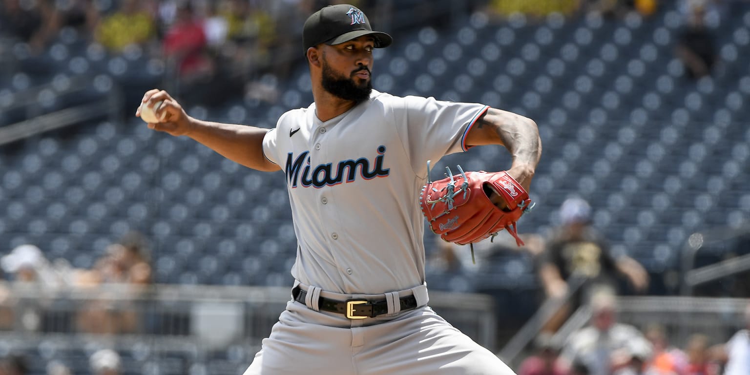 Sandy Alcantara, JJ Bleday, Jeff Brigham lead Marlins to win