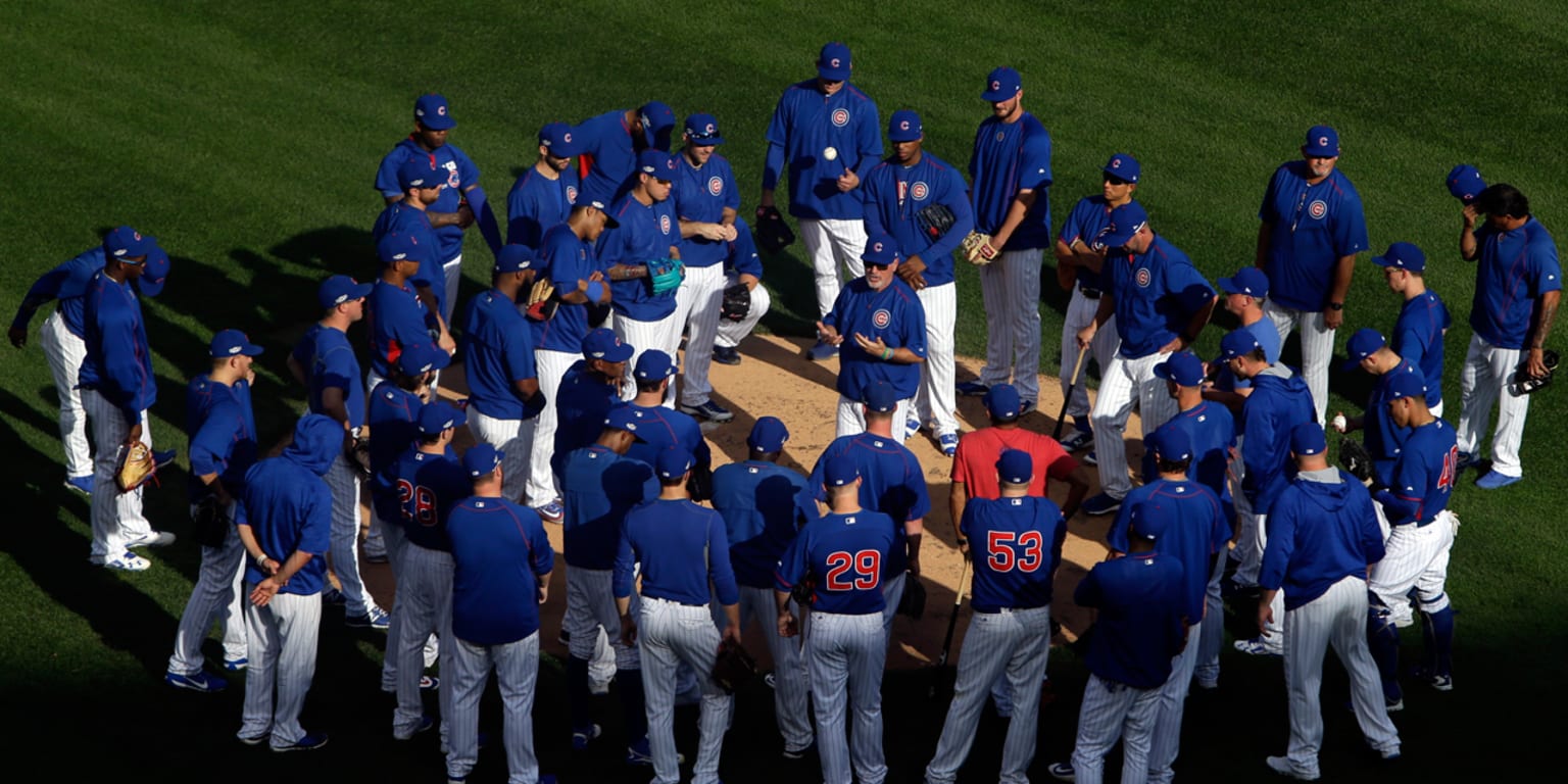 Cubs Division Series roster