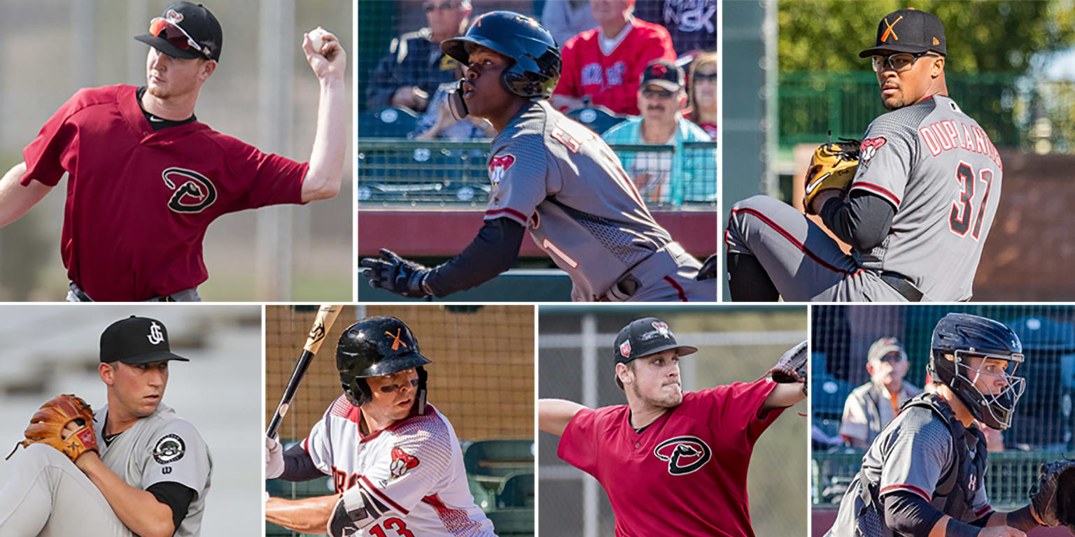 Dbacks prospects Spring Training report