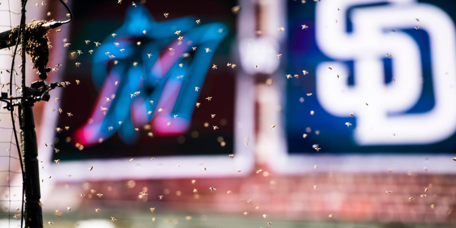 Bees delay series finale, Padres vs. Marlins