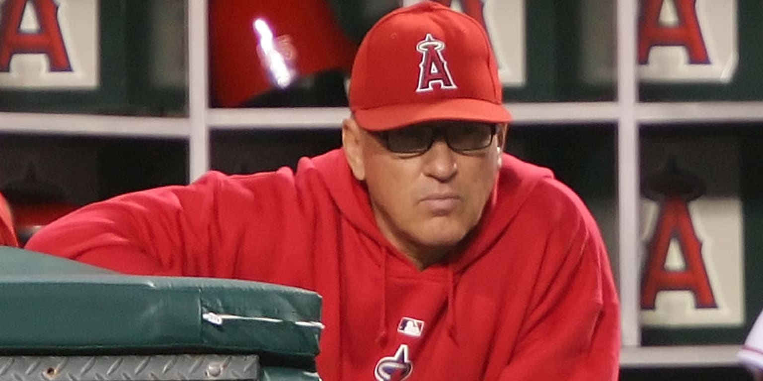 Joe Maddon to interview for Angels manager job