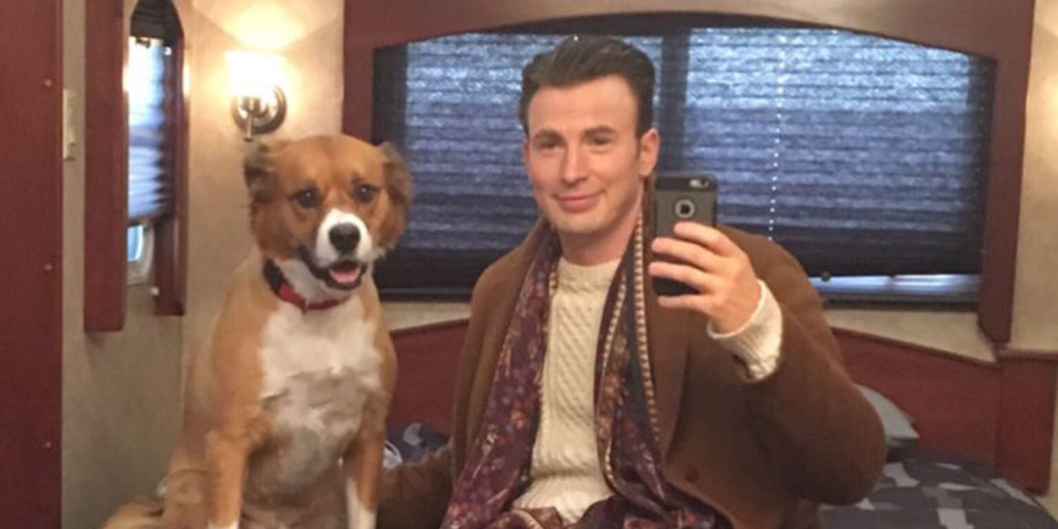 Captain America actor Chris Evans has a dog named Dodger | MLB.com