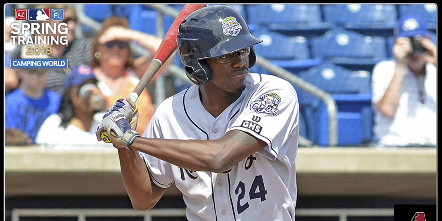 Arizona Diamondbacks Marcus Wilson Q&A