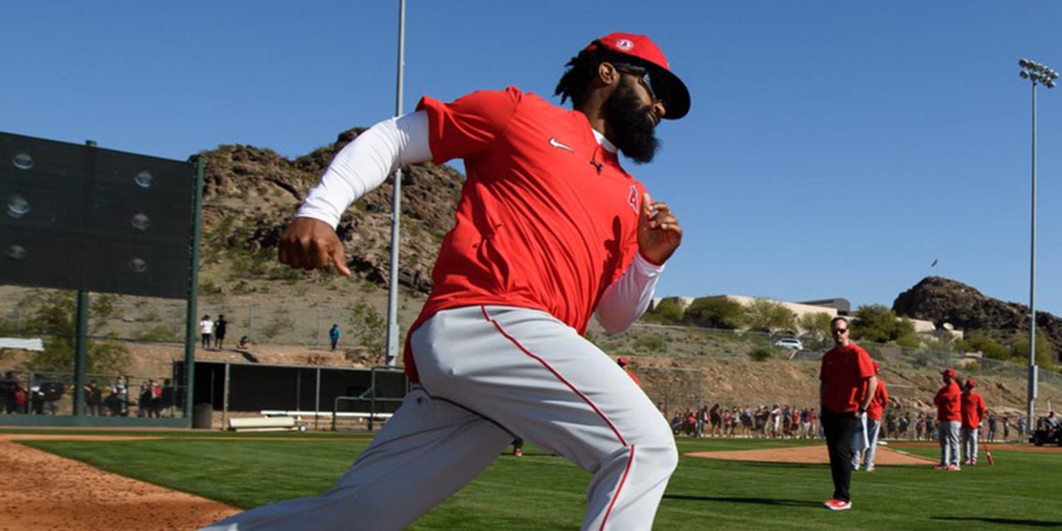 Brian Goodwin seeks spot in Angels outfield