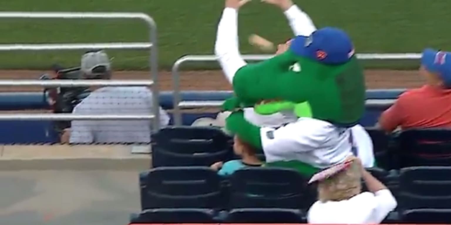 The Florida Gators' mascot shielded a kid from a foul ball like a hero ...