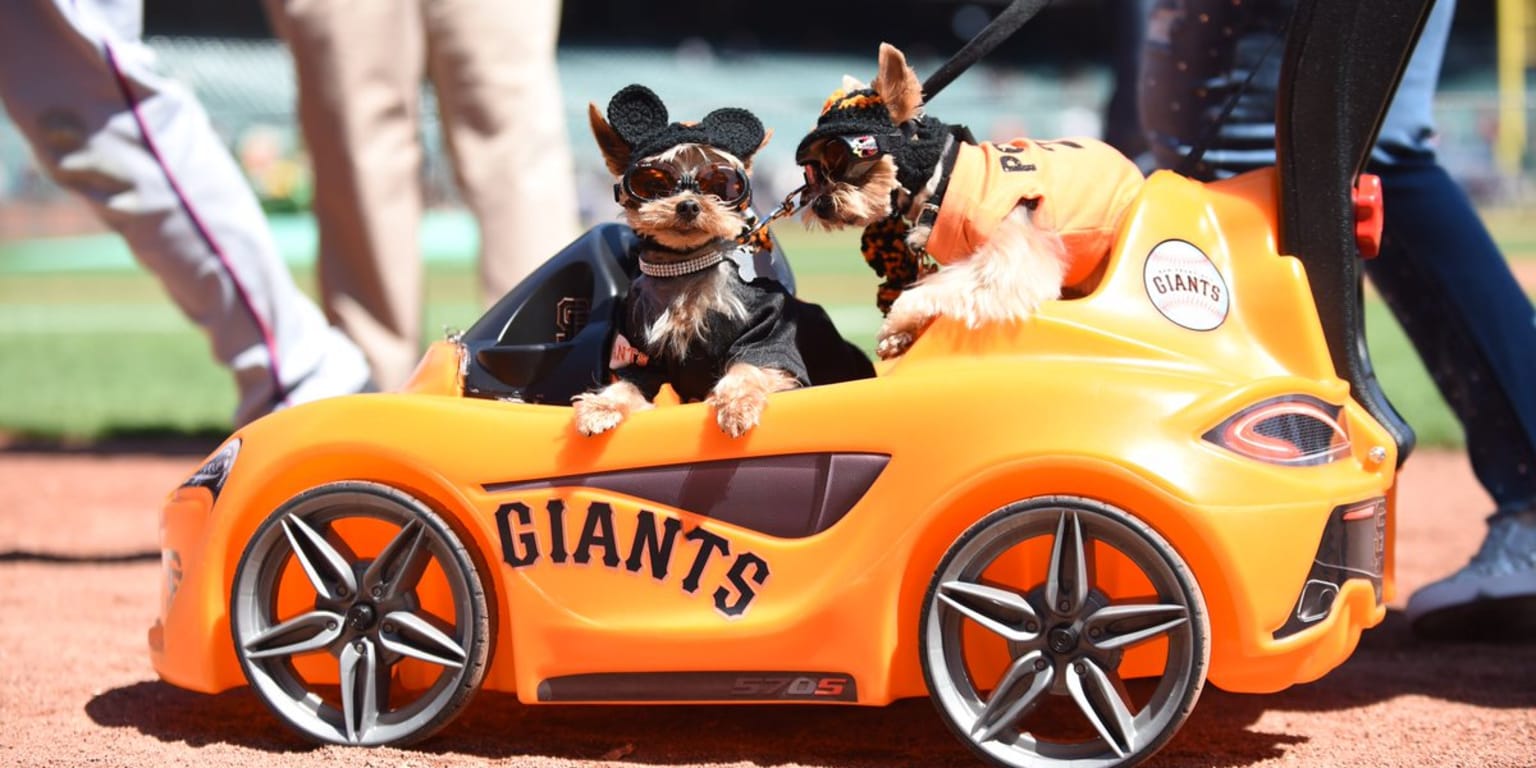 Teams celebrated National Dog Day by letting fans bring their dogs to ...