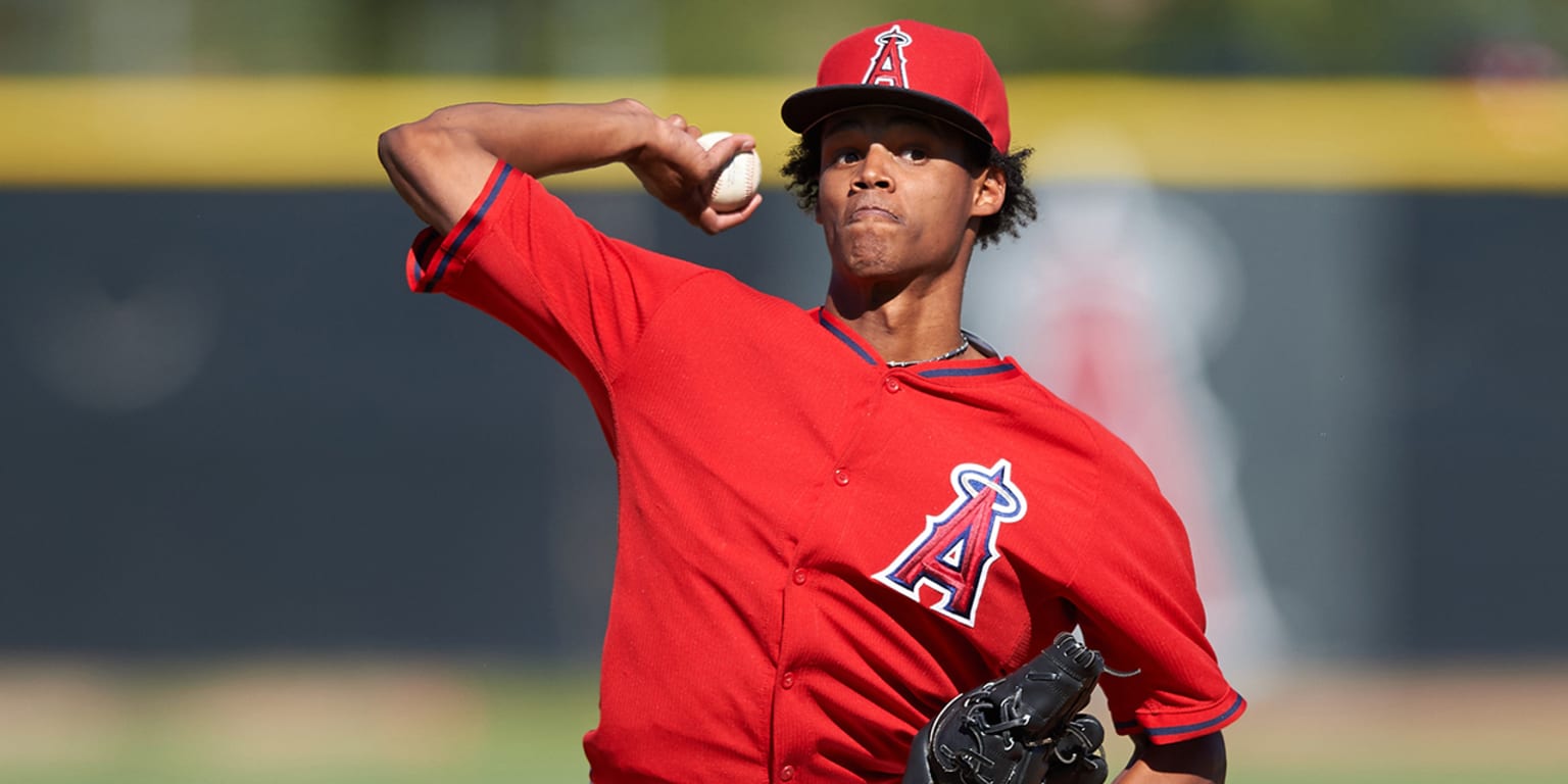 Tigers acquire Elvin Rodriguez from Angels