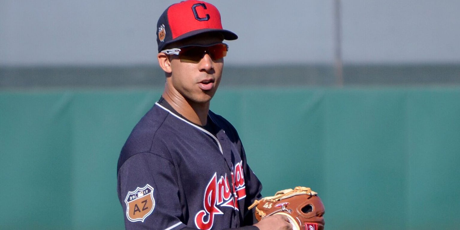 Indians' Brantley optimistic about recovery