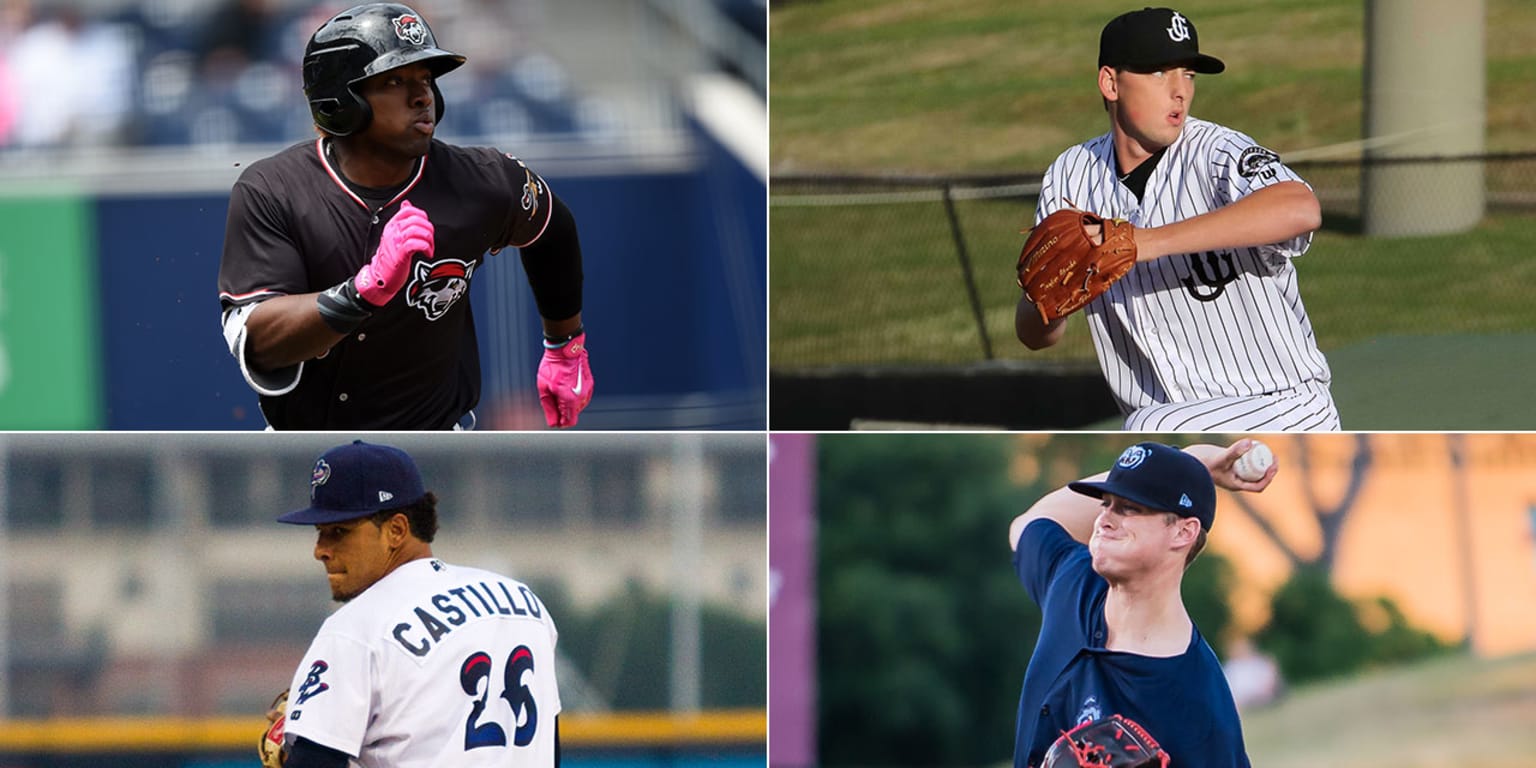 Tigers Christin Stewart on hot streak for Erie