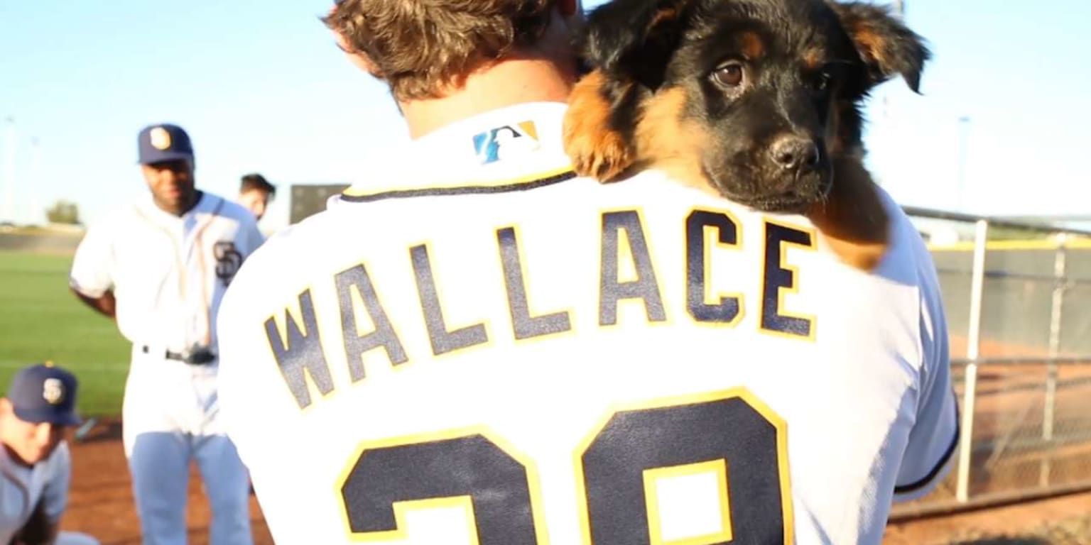 Today in Photo Day Adventures: The Padres got to play with some ...